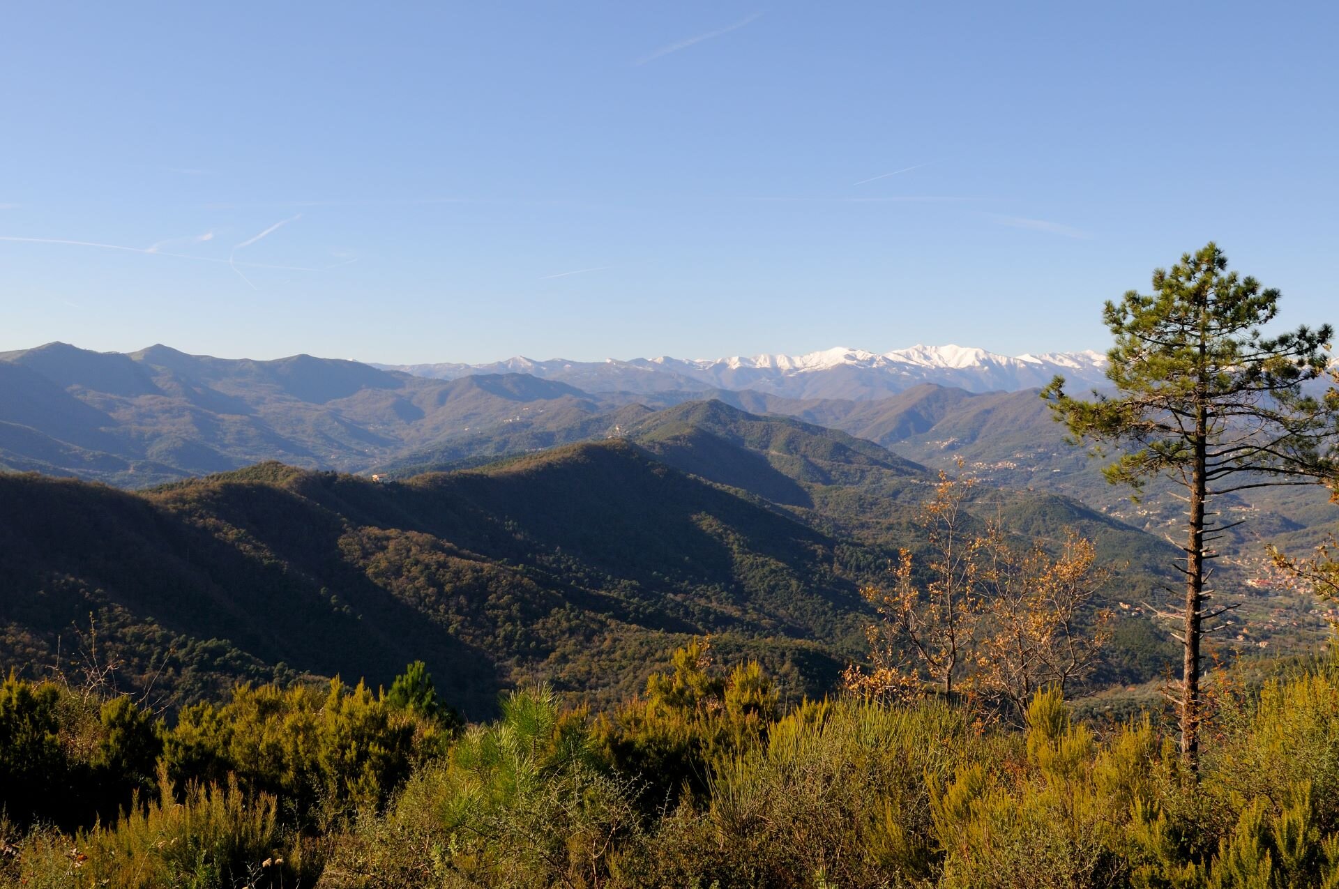 Trails - Madonna della Guardia trail